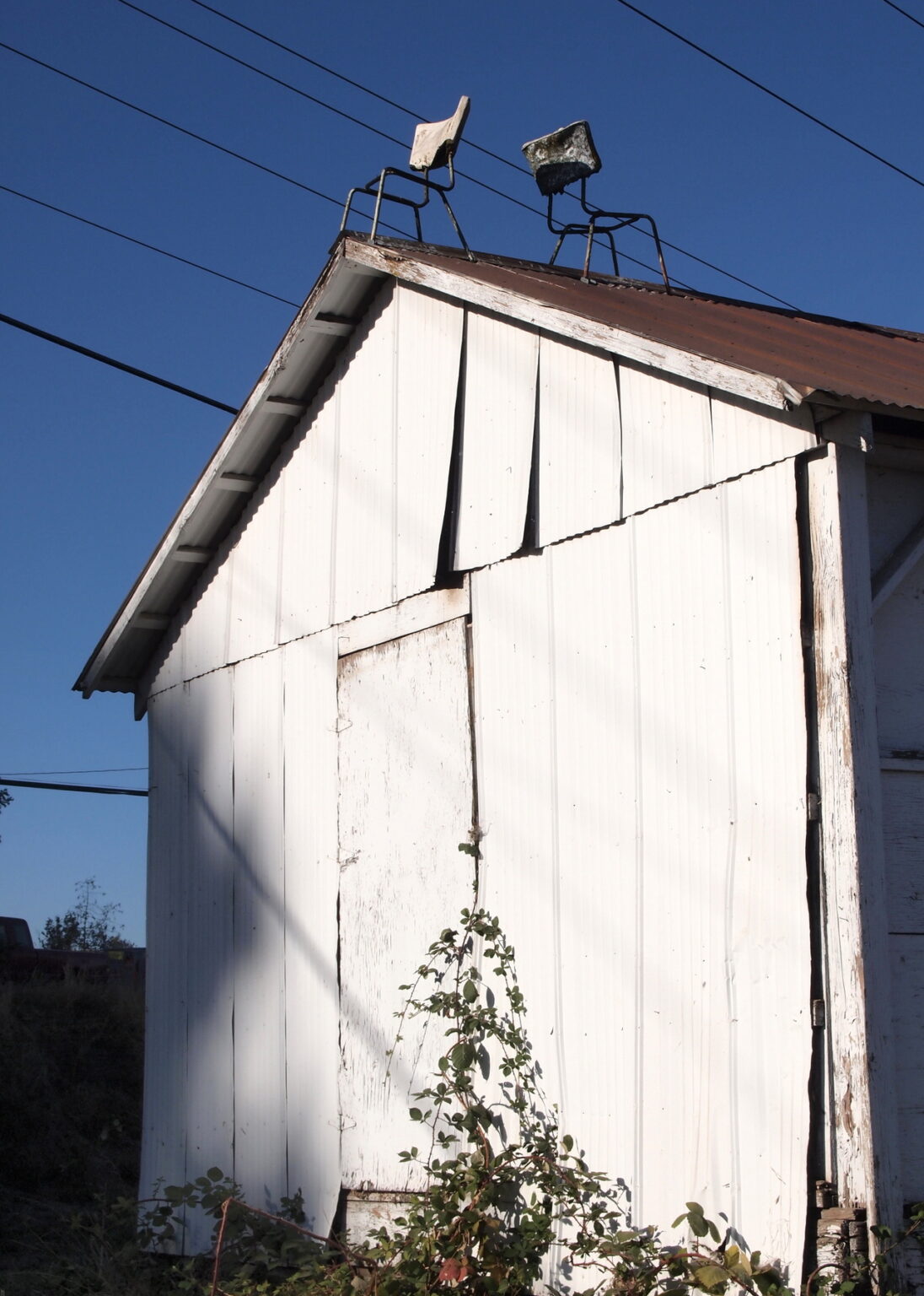 Lives of the Seraphim, Nancy Christopherson – Triggerfish Critical Review